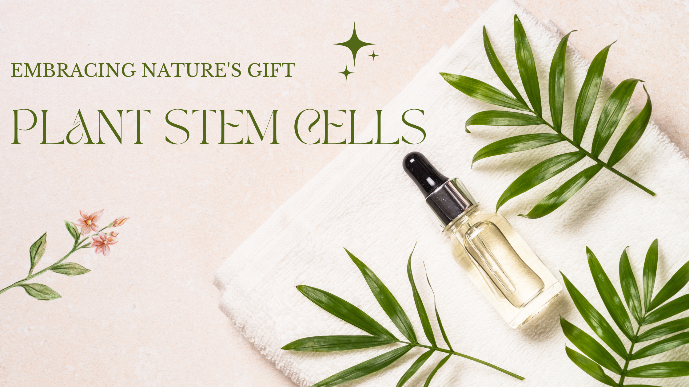 The Marvel of Plant Stem Cells in Eminence Organics Age Corrective ...